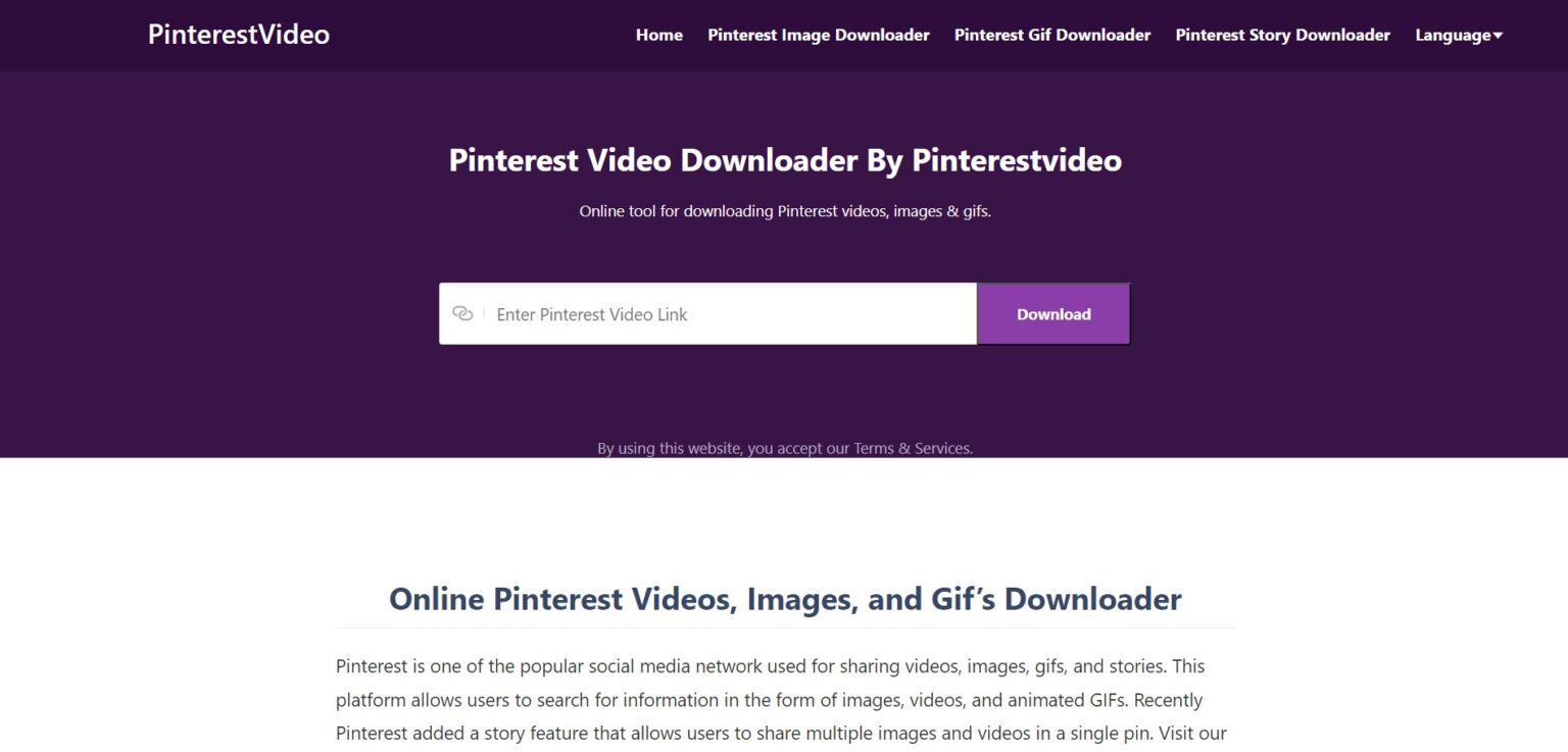 11 Best Pinterest Video Downloader Online - Techtouchy